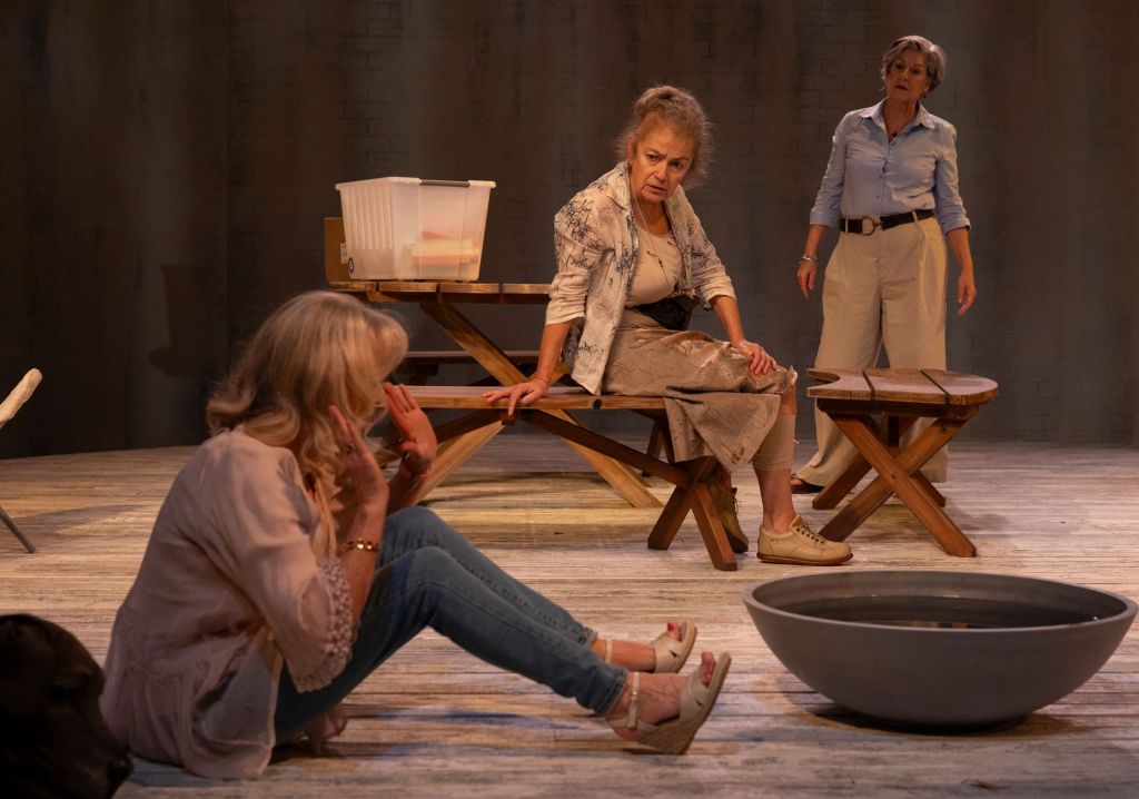 Review: The Weekend (Belvoir St Theatre) | Suzy Goes See