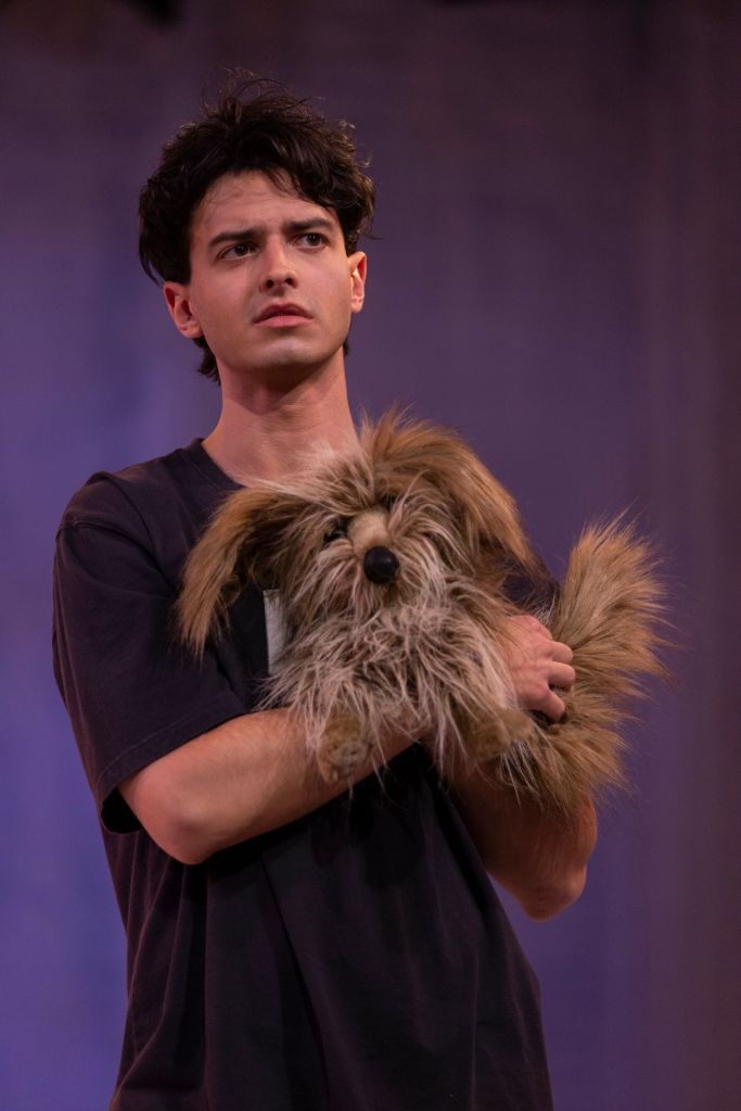 Review: The Weekend (Belvoir St Theatre) | Suzy Goes See