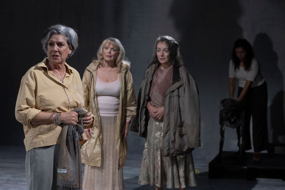 Review: The Weekend (Belvoir St Theatre) | Suzy Goes See