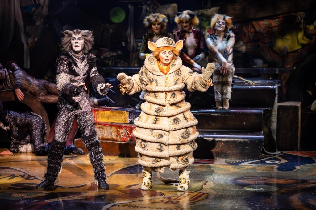 Review: Cats (Theatre Royal) | Suzy Goes See