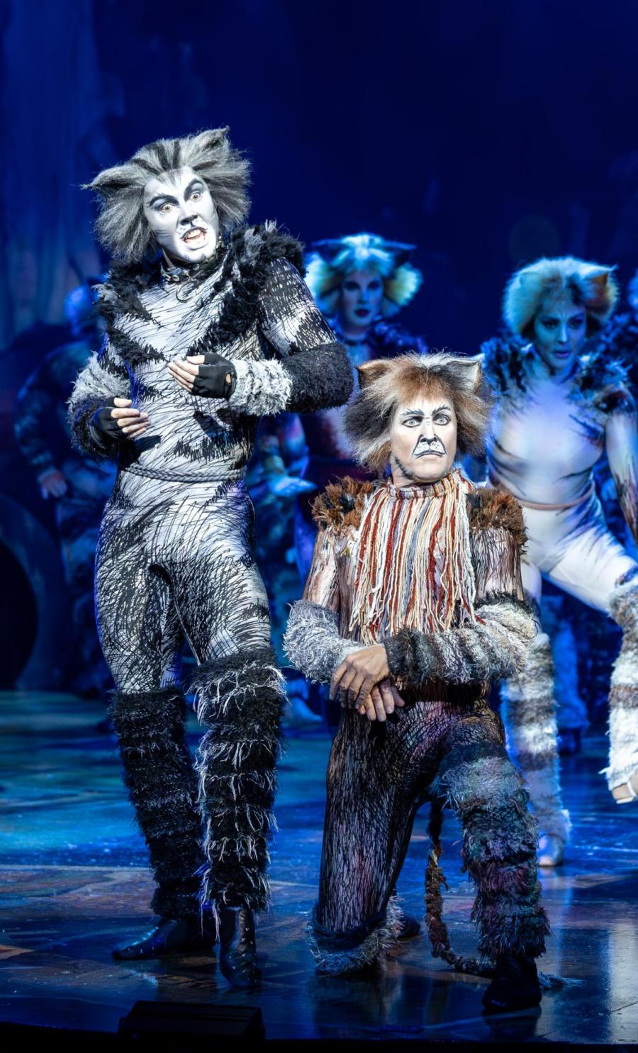 Review: Cats (Theatre Royal) | Suzy Goes See